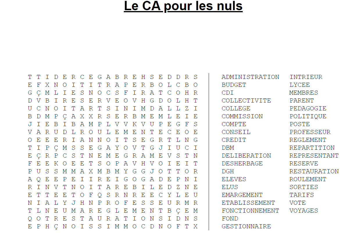 Les mots mêlés du CA - La reine de la bidouille